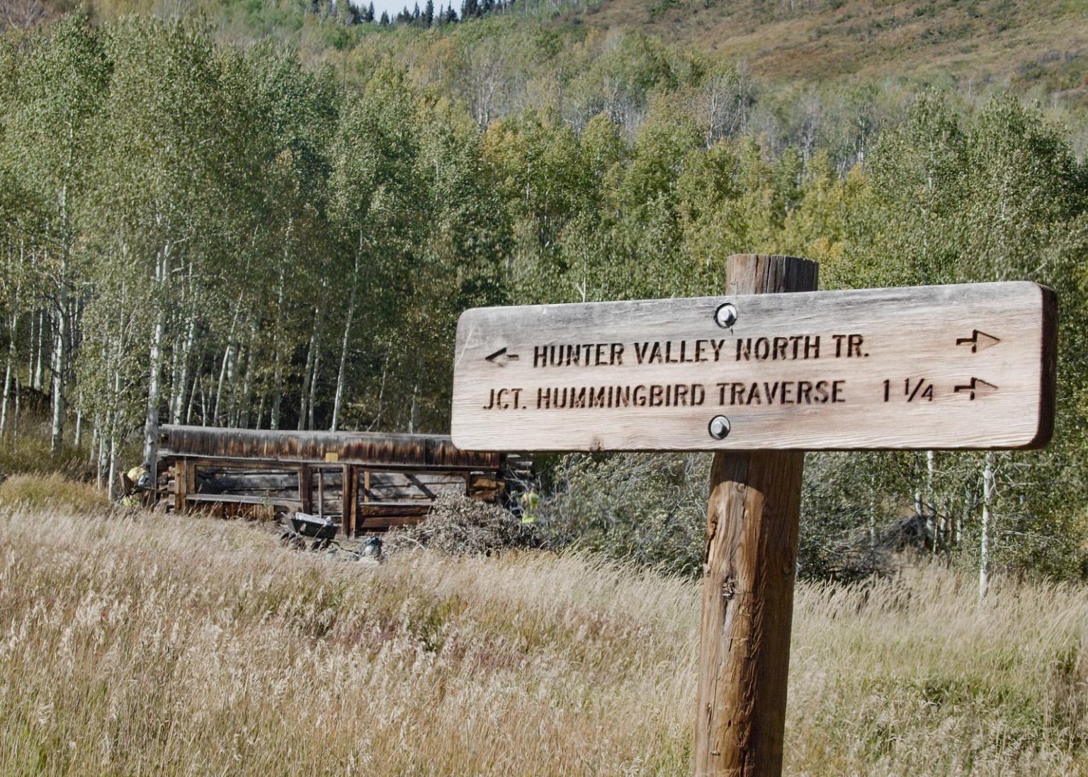 Hunter Creek Miner's Cabin, CO 2025 - HistoriCorps